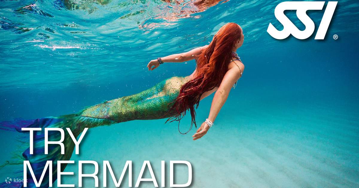 Khám phá khía cạnh nàng tiên cá của bạn: SSI Hãy thử trải nghiệm nàng tiên cá ở Trường lặn quốc ...